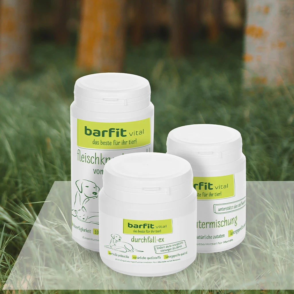 Barfit vital – Barfit-Shop